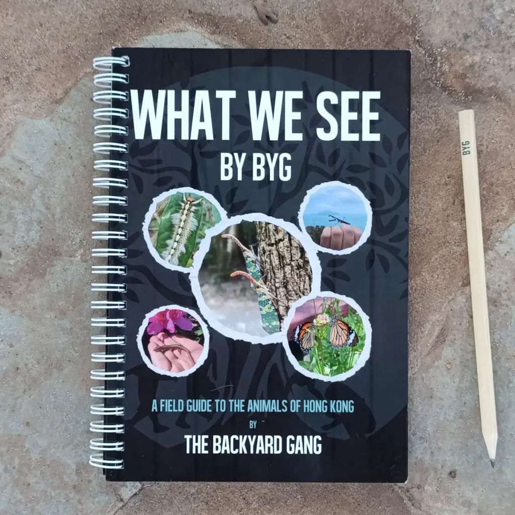 The BYG Field Guide | The Backyard Gang